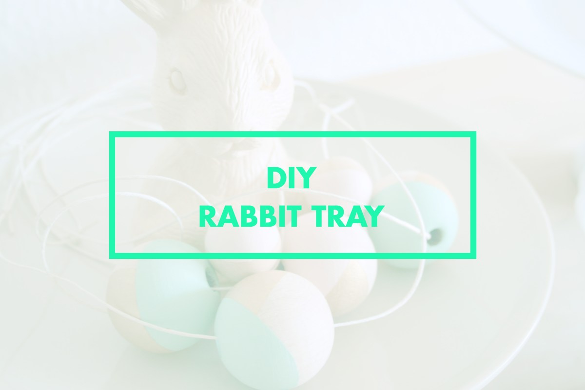 DIY Rabbit Tray – Hey, type me!
